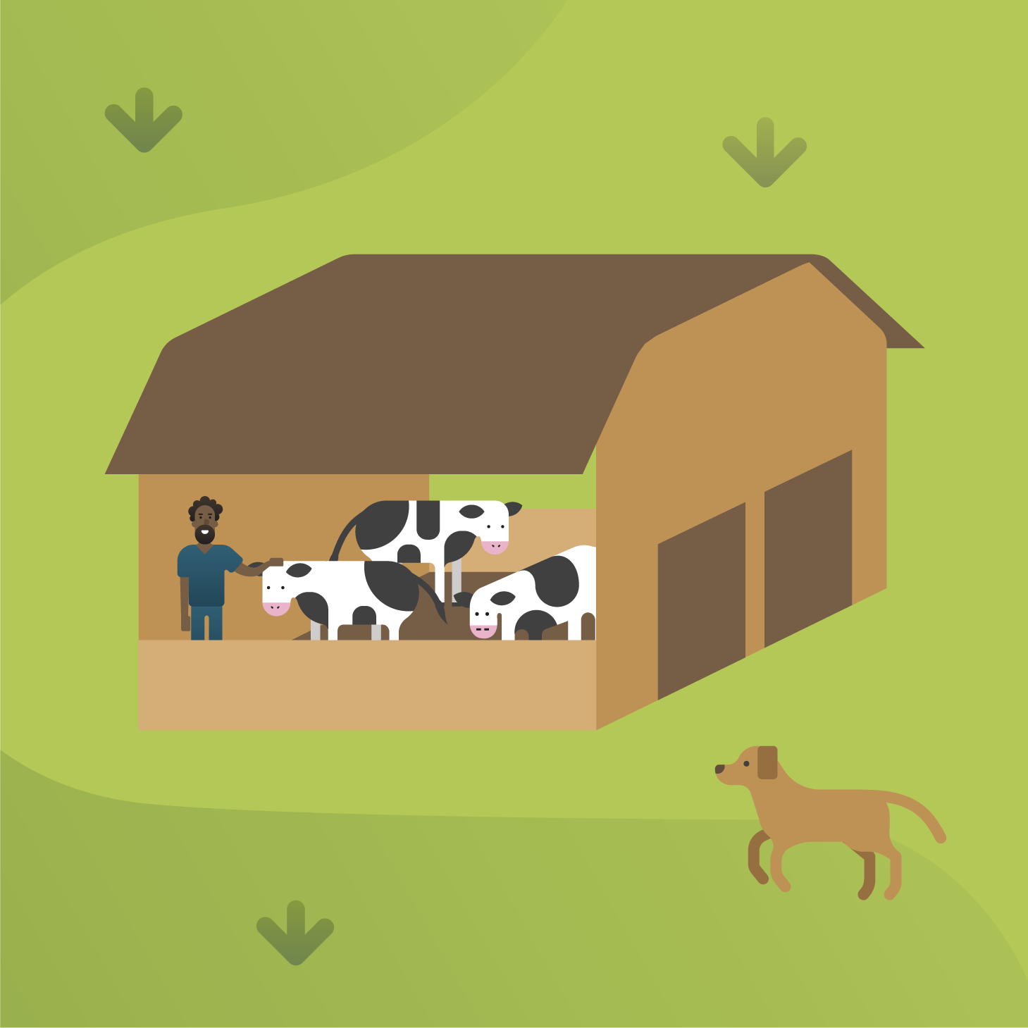 Virtual Dairy Farm Tour